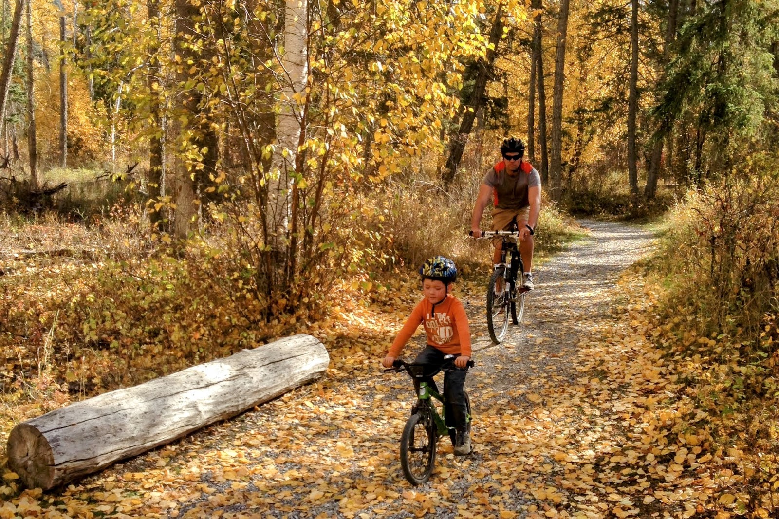 Family Adventures in the Canadian Rockies: Fall Biking! 5 Places to ...