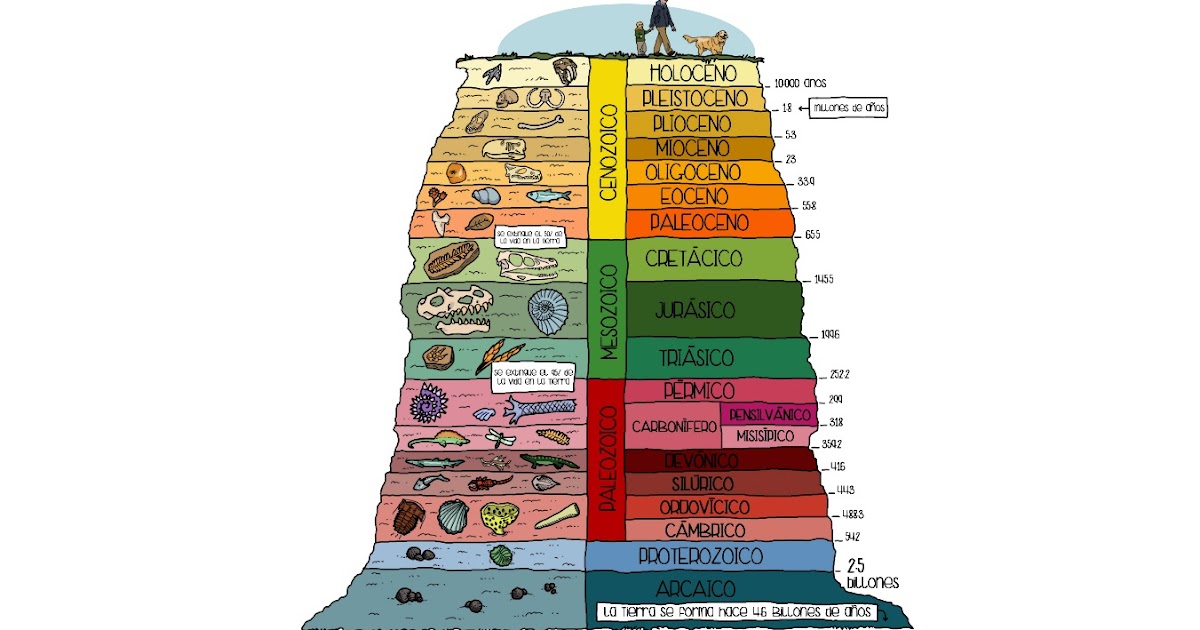 Geología. Períodos y eras geológica