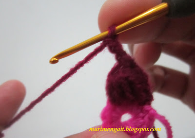 PROJEK 2 : MENGAIT BUNGA BERKELOPAK (PETAL PUFF) ~ Mari Belajar Mengait....