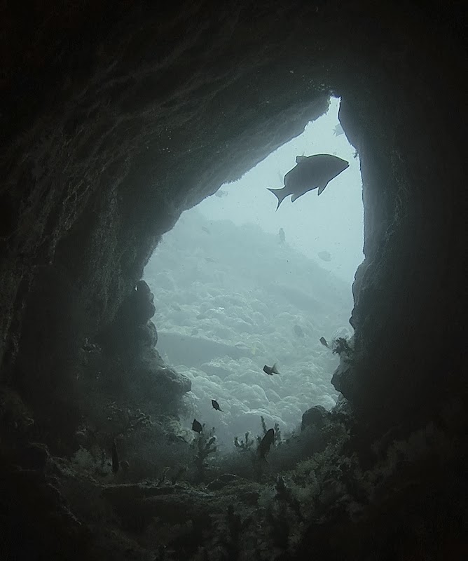 REEF DIVE: Hole in the wall and Discovery Scuba Diving in Mindoro ...