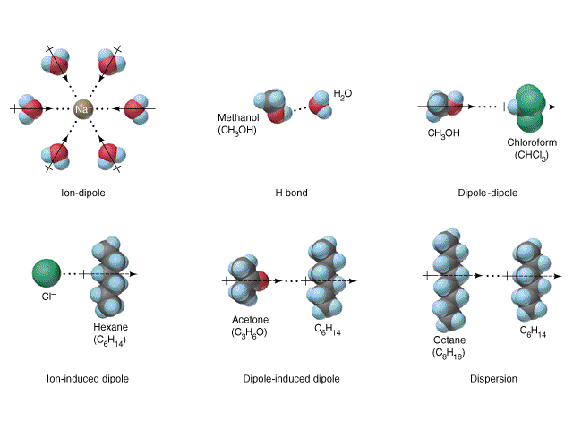 The Biologian What Makes Something Sticky the-biologian-what-makes-something-sticky