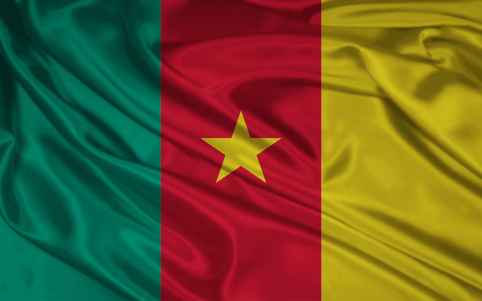 Cameroon Flag Pictures