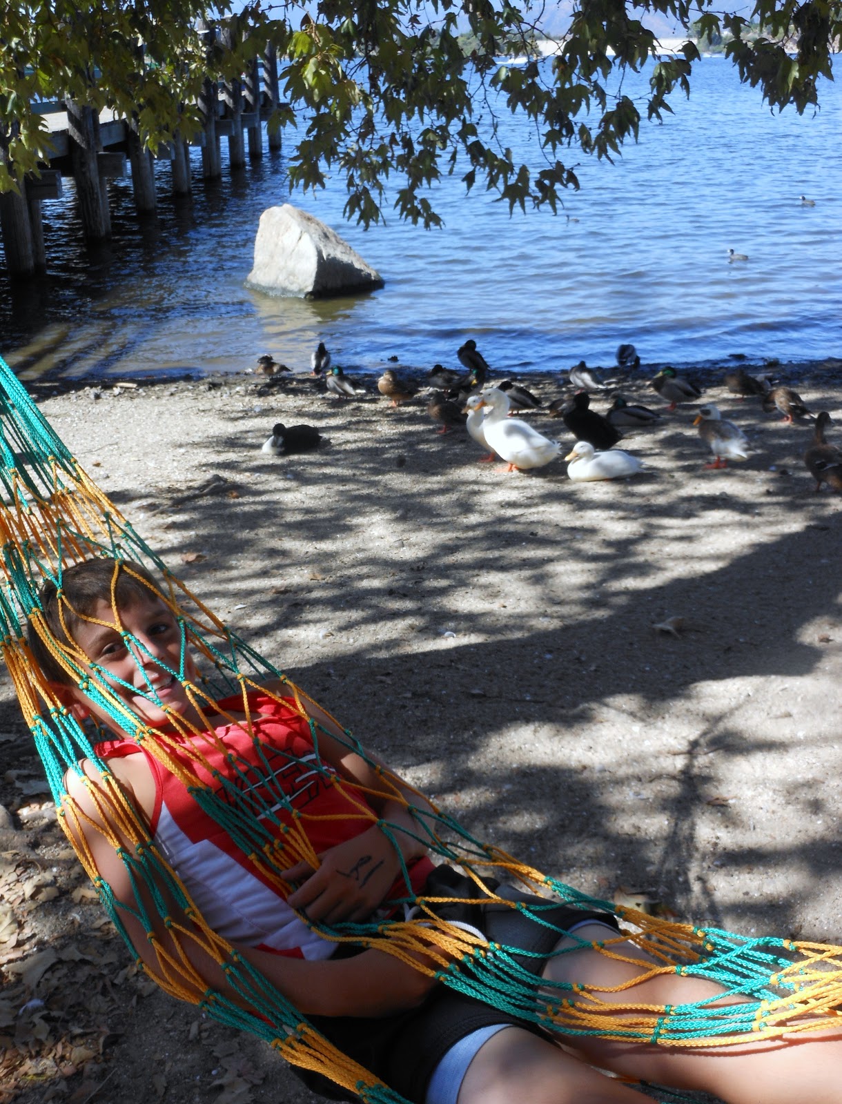 1000 Hikes in 1000 Days: Day 698: Puddingstone Lake - Frank G. Bonelli ...