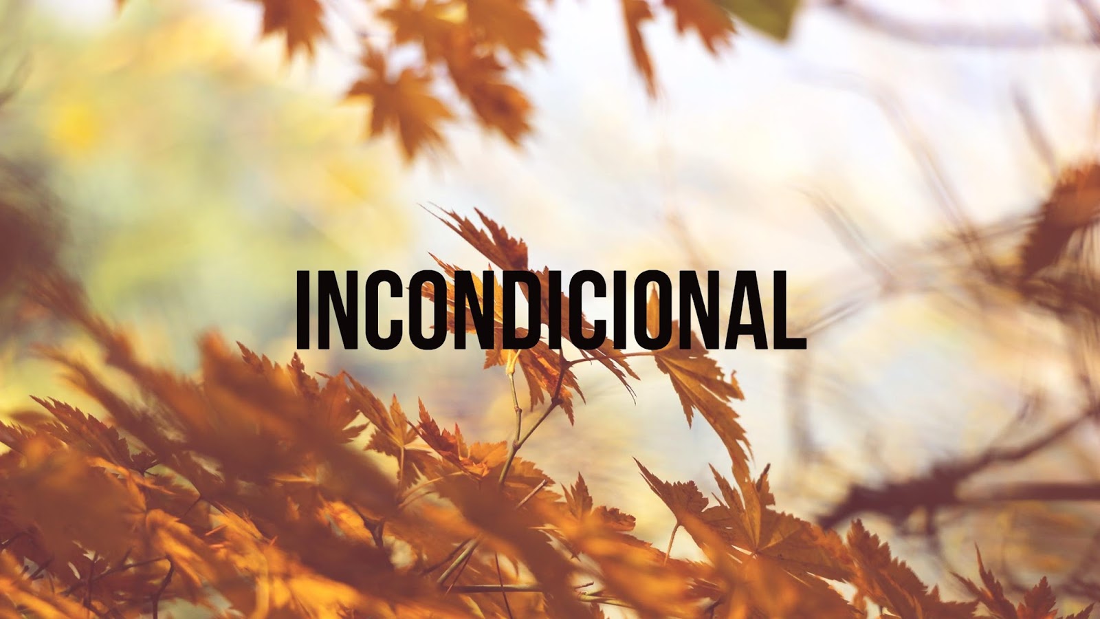 Inspiración Lectora: Un Amor Incondicional
