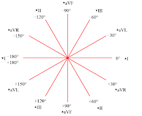 Dr. Alberto Sanagustín : ECG normal (9): derivaciones de miembros y ...
