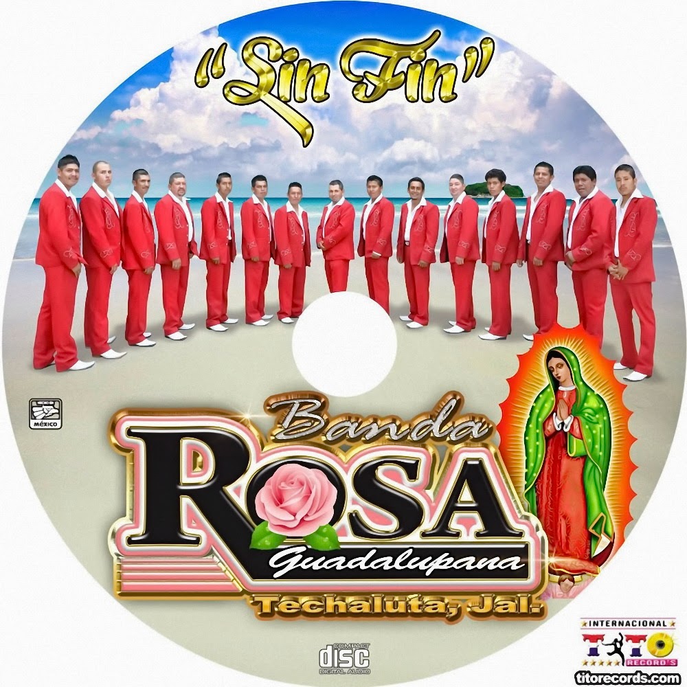 Mi Pasión La Música De Banda: Banda Rosa Guadalupana - Sin Fin