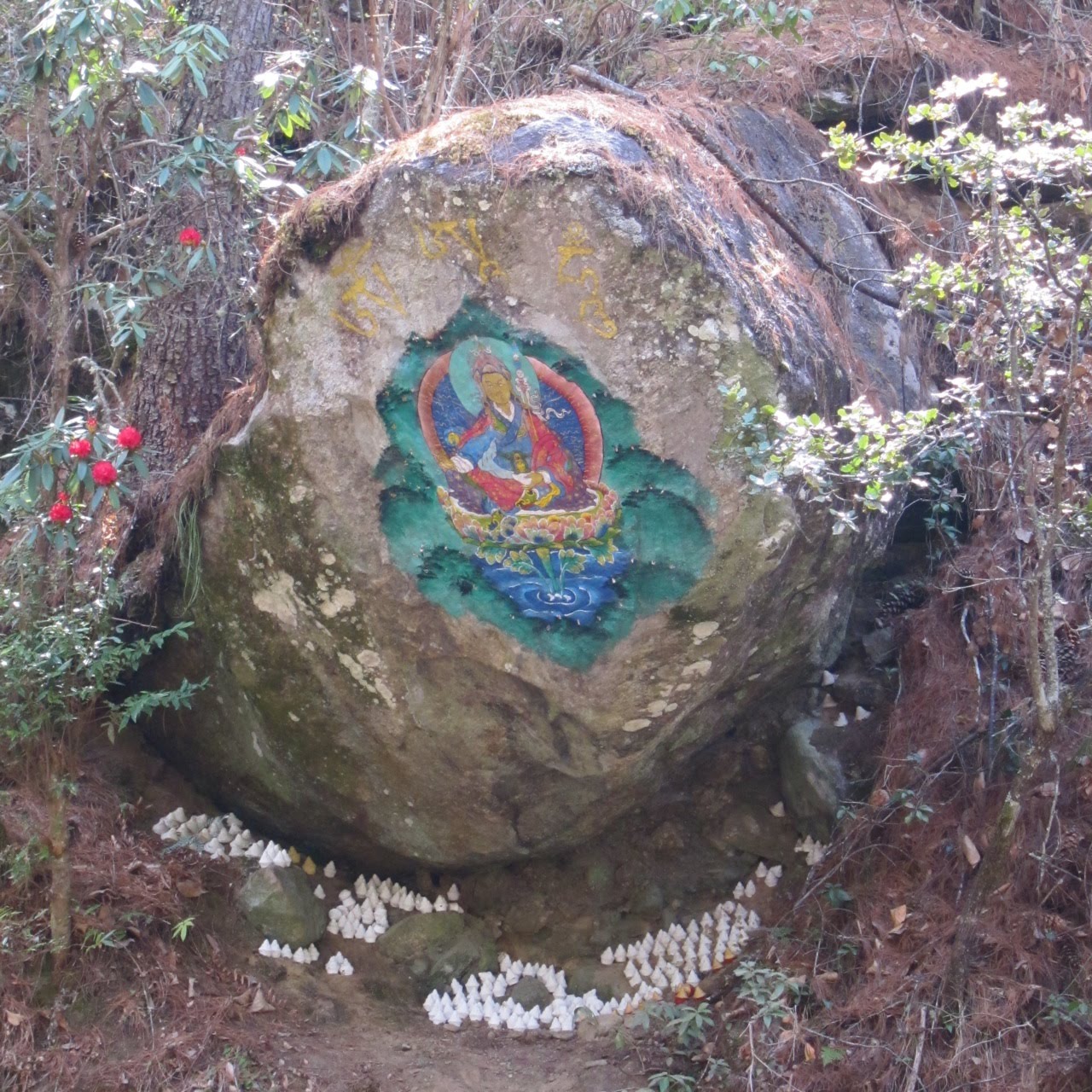 The Wilson Odyssey: The Land of the Thunder Dragon, Part 2: Taktshang ...