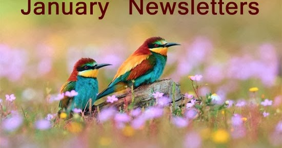 AstroSage Magazine: Welcome January 2014 With Astrology!