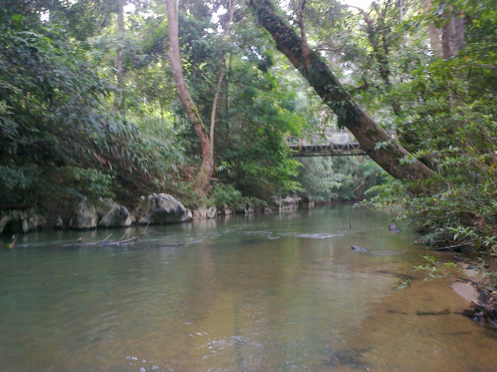 PENGAKAP JEMPOL: EKSPEDISI BERKERETAPI KE TAMAN NEGARA MERAPOH PAHANG