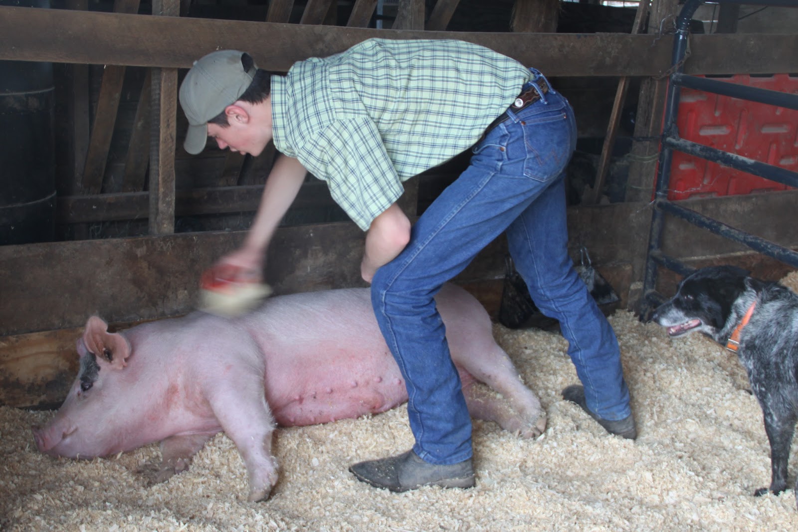 Life Lessons in Agriculture