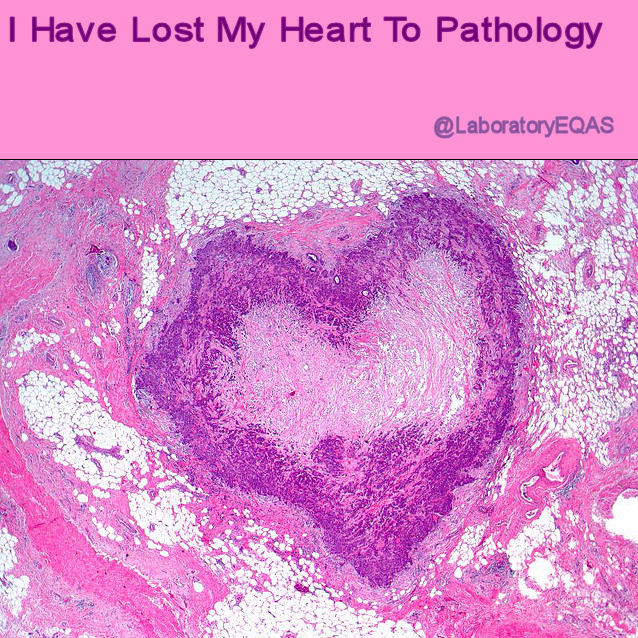 Medical Laboratory and Biomedical Science: I Have Lost My Heart To ...
