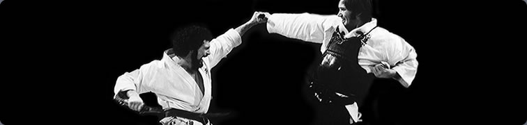 André Bertel's Karate-Do: INTERVIEW: Hanshi Renzie Hanham (8th Dan ...