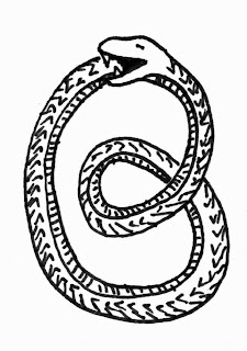 The Archive of Broken Drawings. Est. 2011: I've been drawing snakes ...