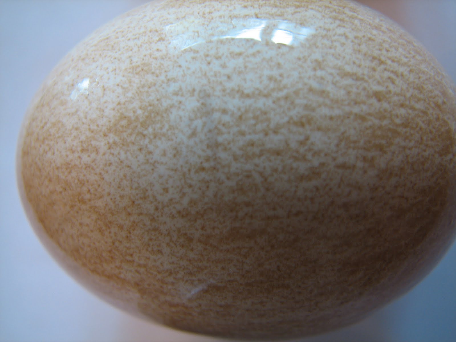 Science Matters: The Importance of Brushing Teeth - Part II