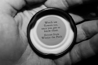 A Little Bit Of Randomness: Winnie the Pooh..♥