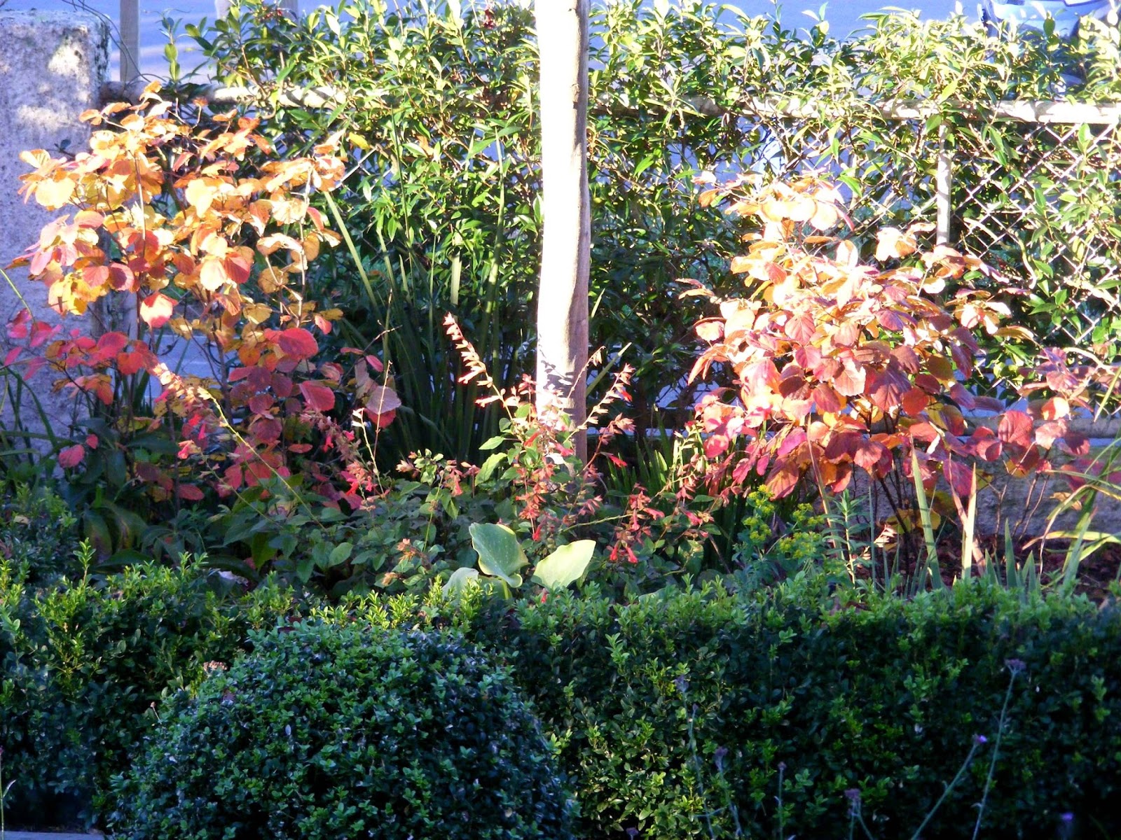 Rachel Callaghan Landscape Architect, NZ: 2018