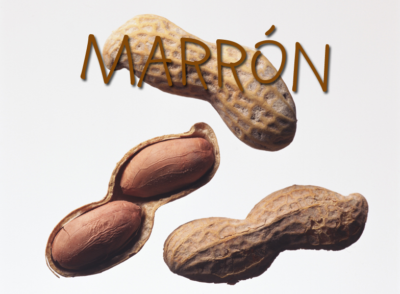 RECURSOS y ACTIVIDADES para Educación Infantil: COLOR MARRON