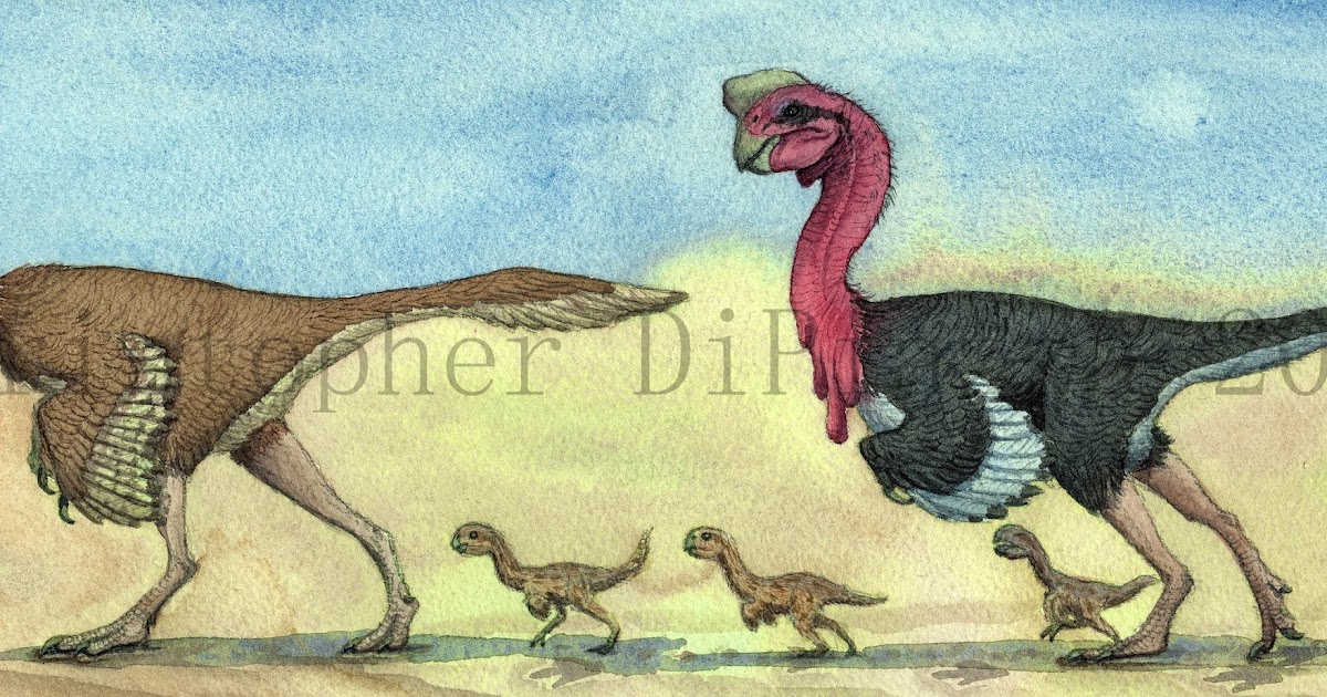 Citipati Dinosaur