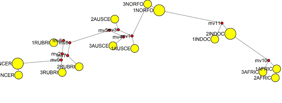 Geographia & Genesis: How to: create nexus input files for Network (www ...