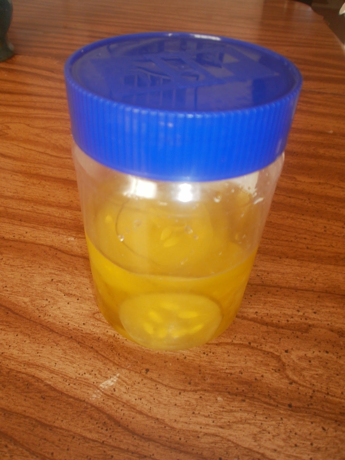 Forever Sew Cute: PICKLES!!!!