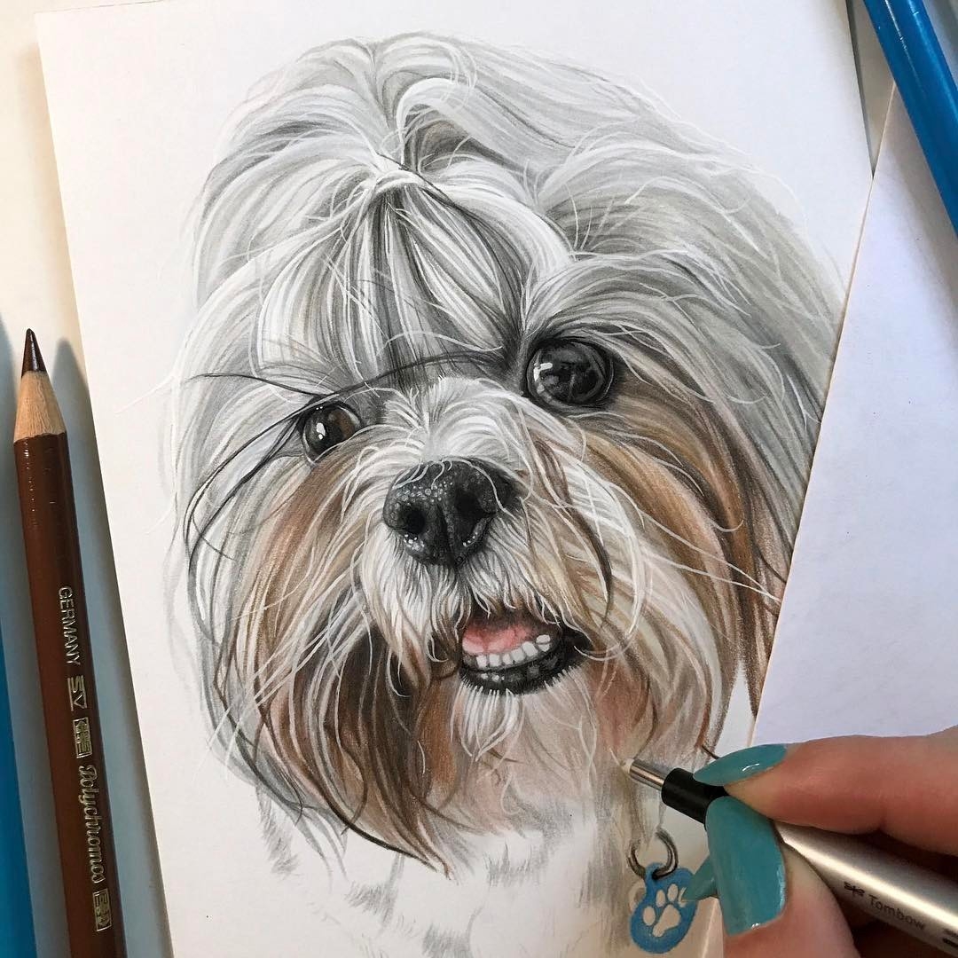 Design Stack: A Blog about Art, Design and Architecture: Our Furry ...