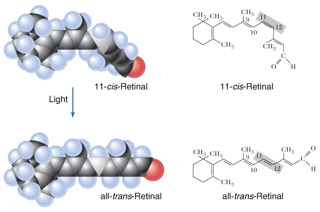 As Many Exceptions As Rules: The Colors of Alien Plants