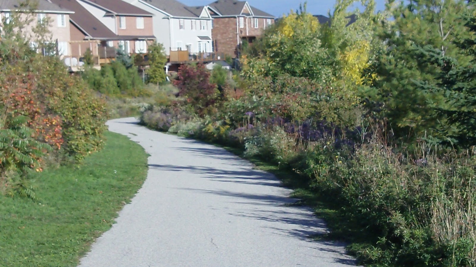 Exploring Milton’s Trails by Bike | Milton Cycle Network