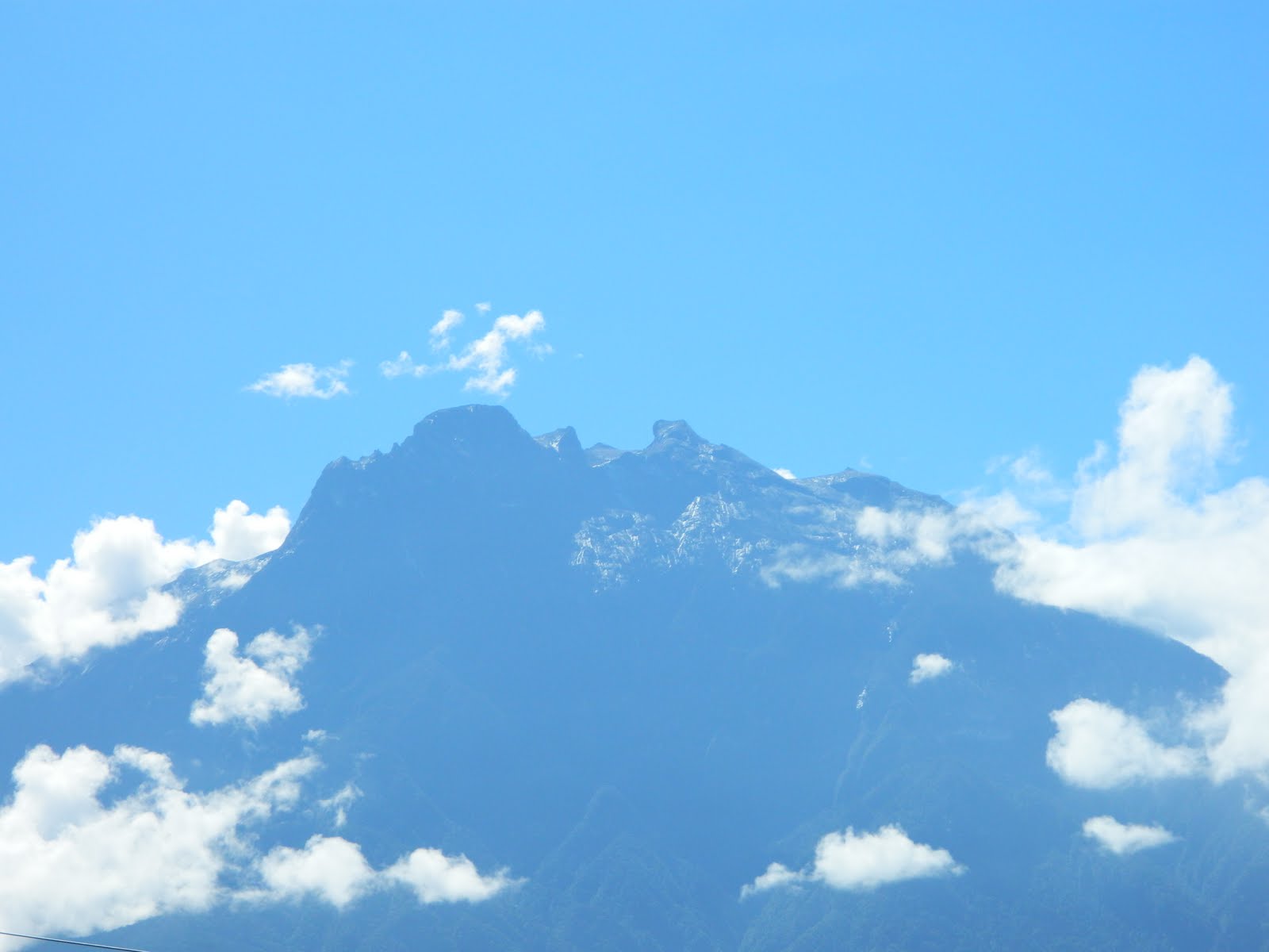 Rainforest Of Borneo: Kinabalu Park & Poring Hot Spring (full day)