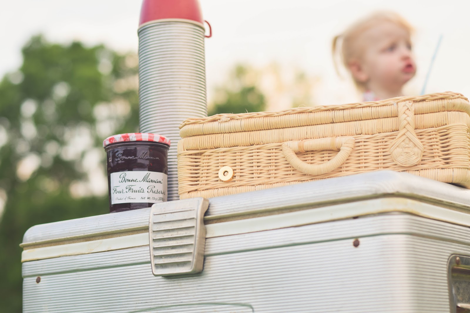 The Classy Junk: Strawberry Jam | Picnic Pretties Mood Board