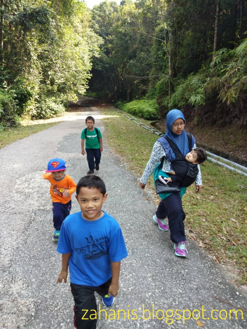Pengalaman Pertama Hiking Bukit Bauk Dungun - Life Starts Here!