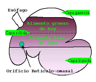 Blog de Alejandro Rivera