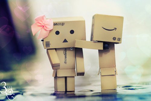 - She...: Danbo - A cute cardboard character :)