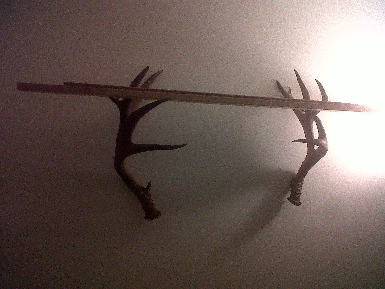 Candice Cooks: A Food Blog: Antler Wine Rack