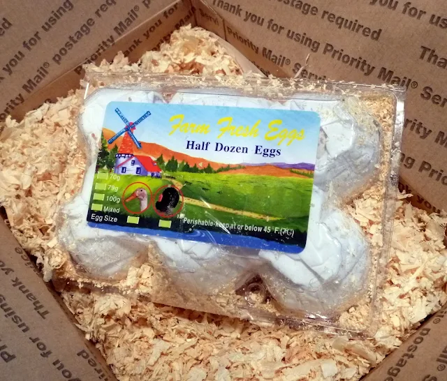 The Beginners Guide to Hatching Duck Eggs [with egg candling photos ...