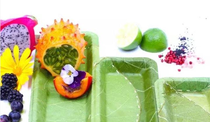 Leaf Republic - Những chiếc đĩa được làm từ lá cây - Quinhon11