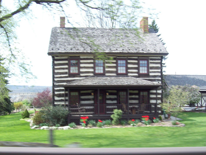 A Primitive Homestead