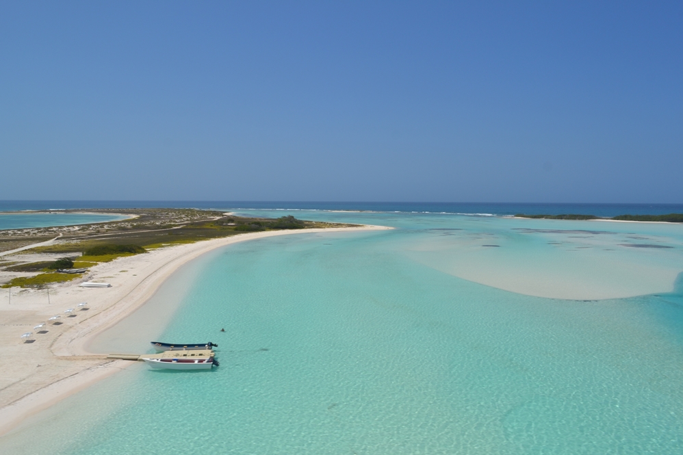 Venezuela: Isla La Tortuga ~ Siembrambiental