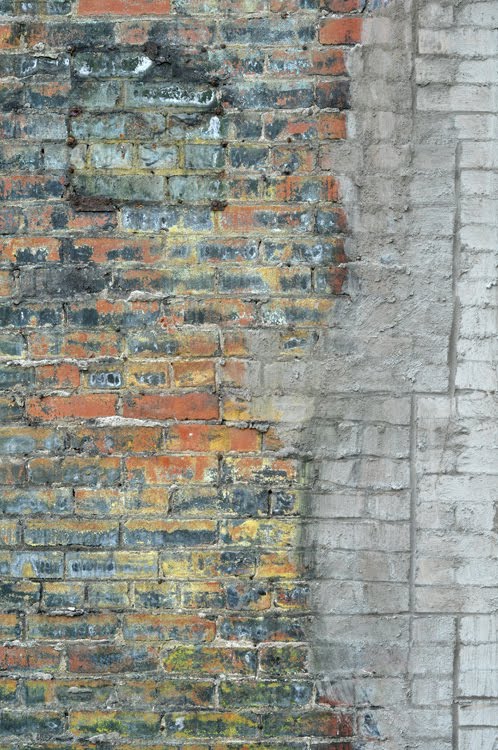 travis markel [photographer]