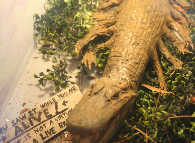 The Carpetbagger: The Abita Mystery House