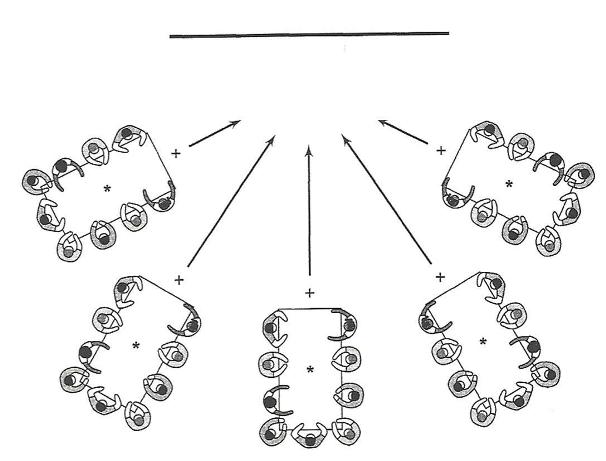 AMIGOS DEL PROFE: Buzz Groups Estrategias Metodológicas de Enseñanza ...