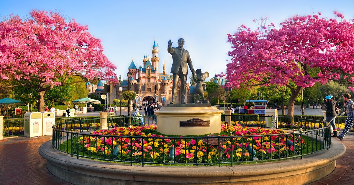 A Magical Disney Morning