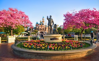 Disney Photoblography