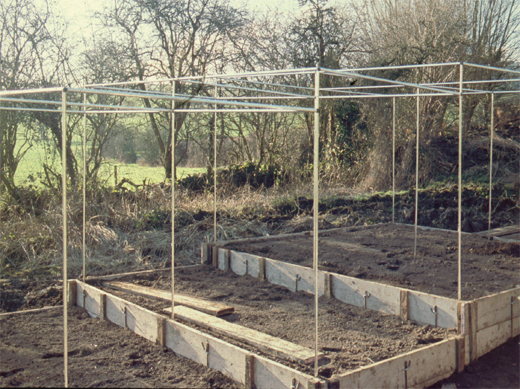 HOW TO PROTECT FRUIT FROM BIRDS |The Garden of Eaden