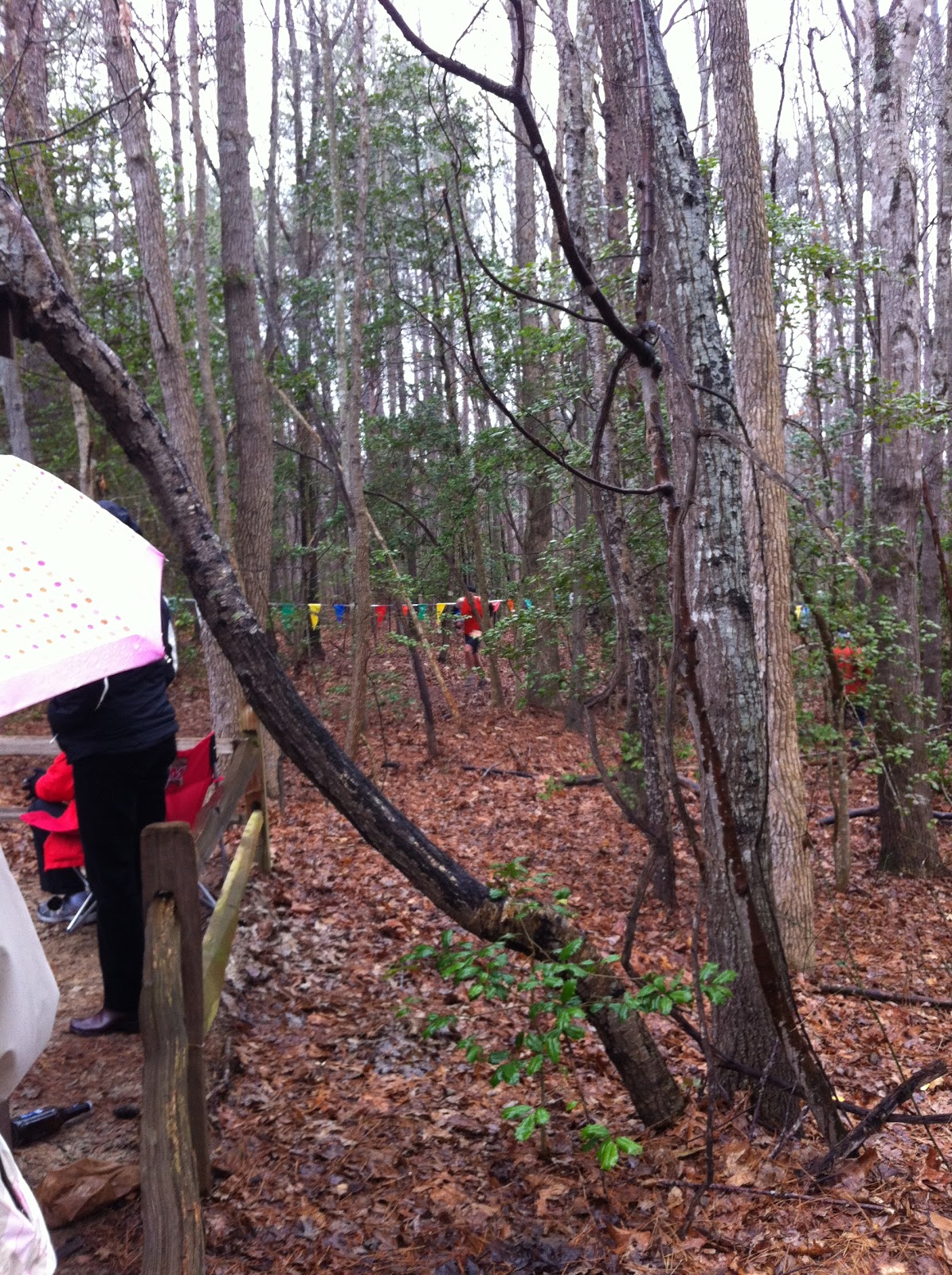 fat silly yak: Uwharrie 20 mile report aka 20 miles of Smashed Prune Feet