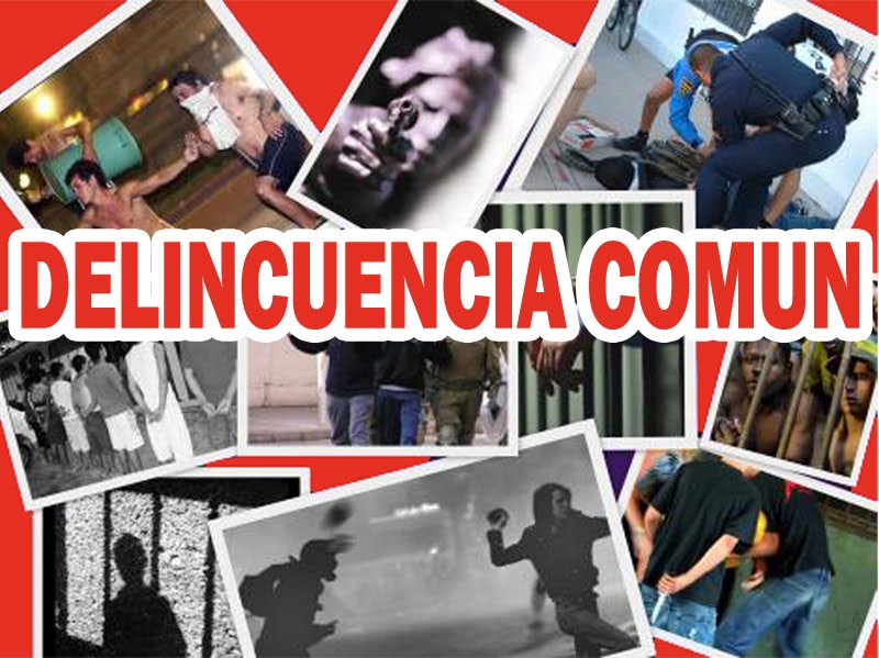 Delincuencia Comun