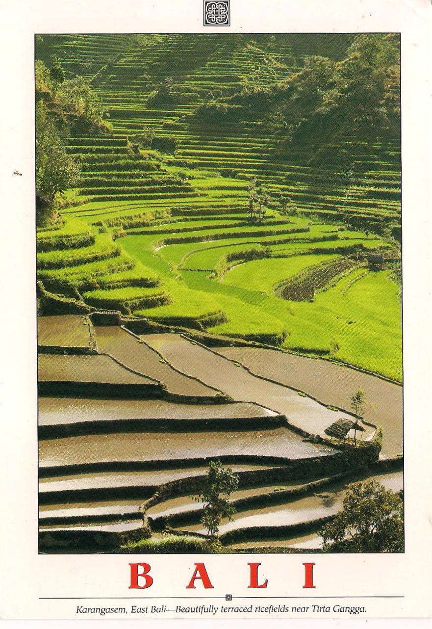 MY UNESCO WHS POSTCARDS COLLECTION: INDONESIA - Cultural Landscape of ...