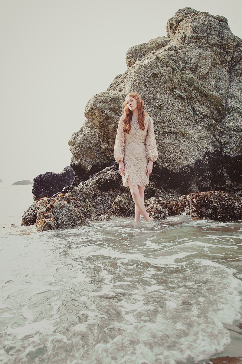 Alyssa Nicole's Designer Diary Page 4 | Alyssa Nicole