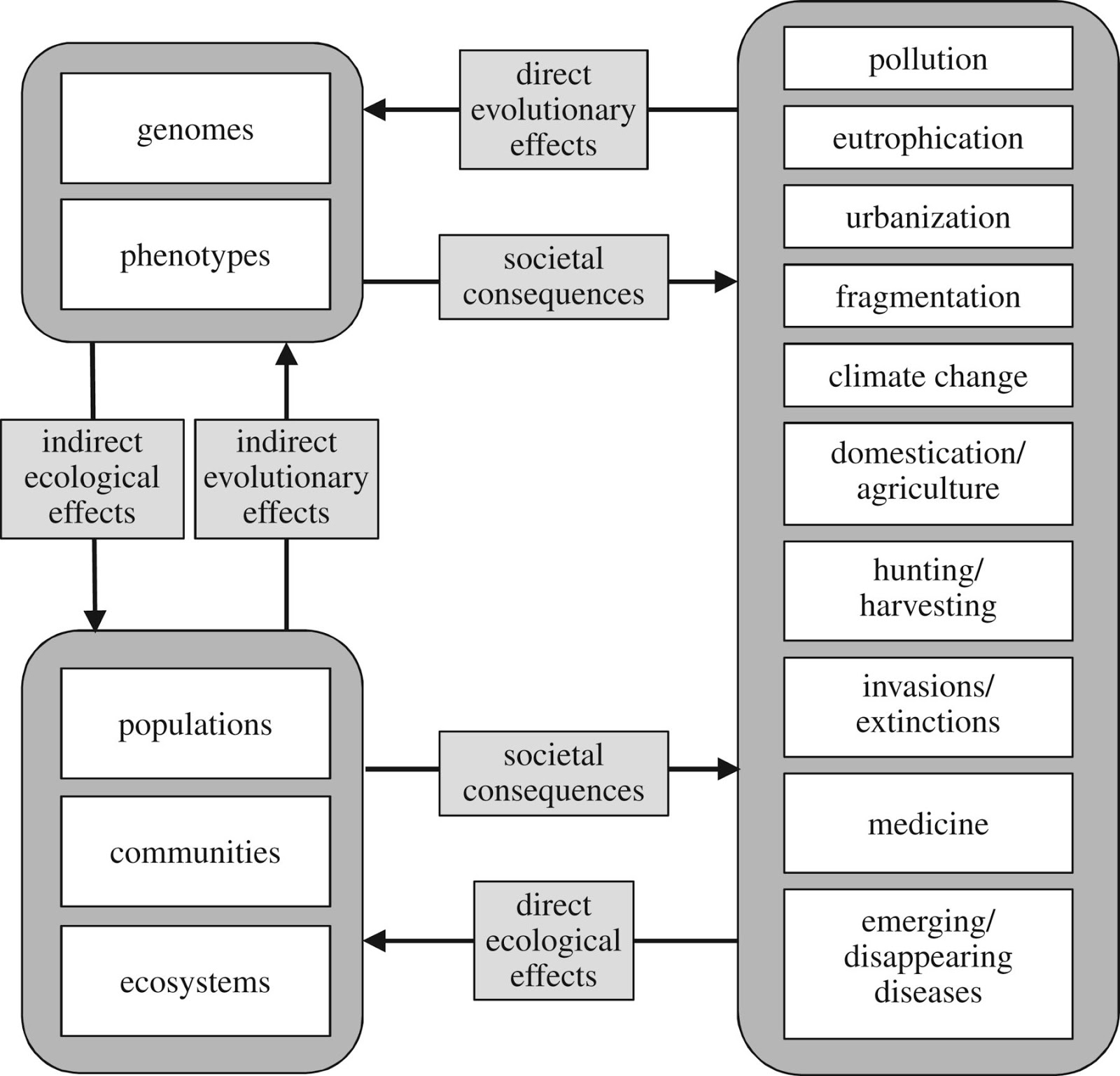 Eco-Evo Evo-Eco: Yes, humans influence evolution. Yes, that has ...