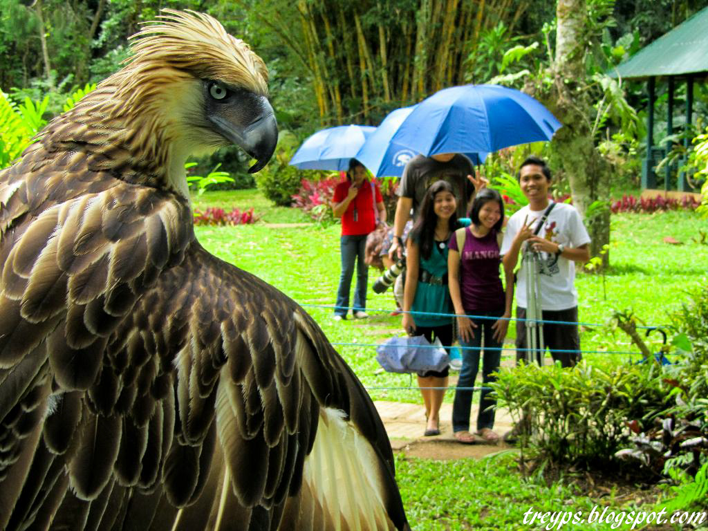 Boy Palaboy: A Journal Of Journeys: It's More Fun In Calinan