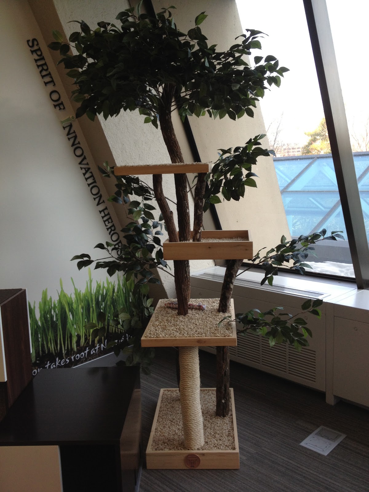 Runs for Cookies: The True Nature of Cats, Part 3